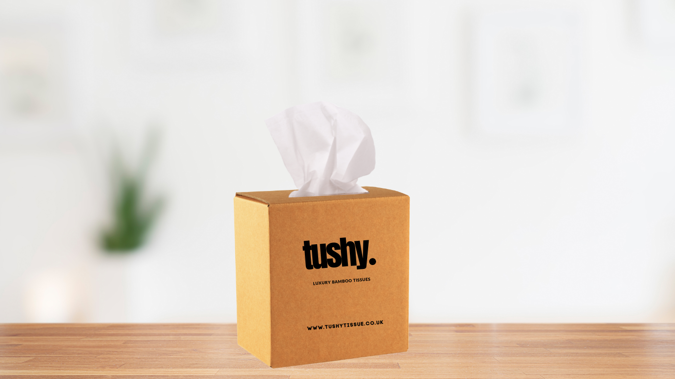 Luxury bamboo tissues (box of 10) – Tushy